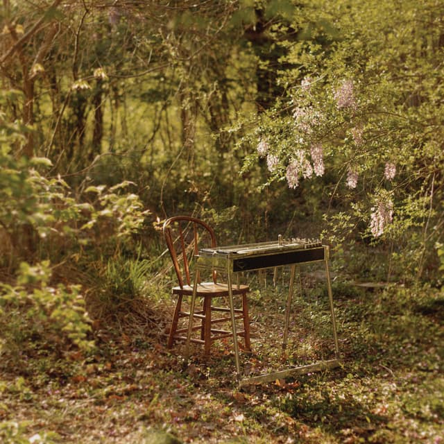 Luke Schneider - For Dancing In Quiet Light | LEAVING RECORDS ...